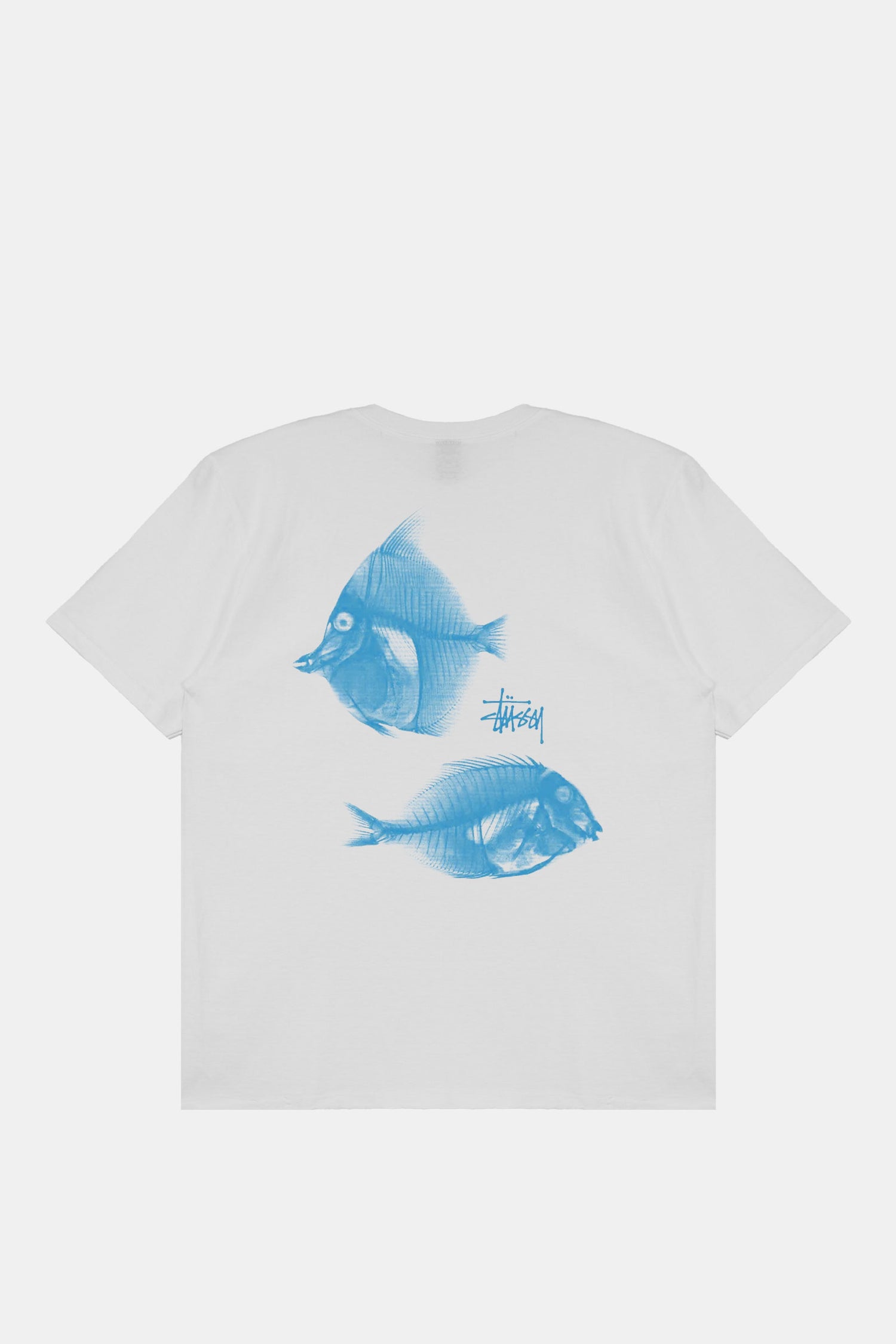 X-Ray Fishin Tee | HOMEBRED